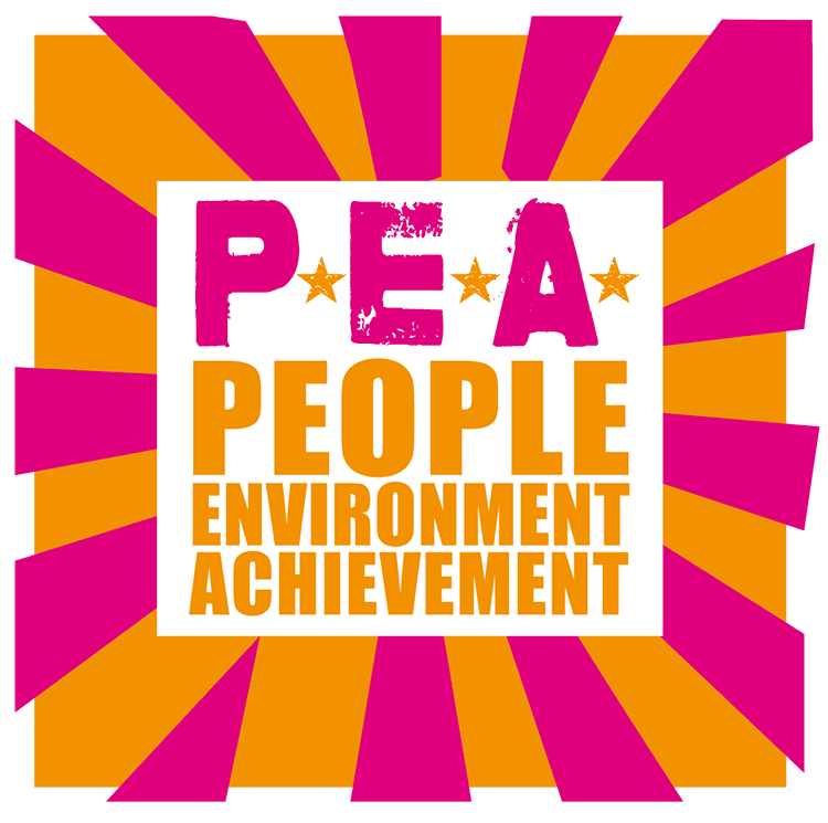 Home - P.E.A. Awards